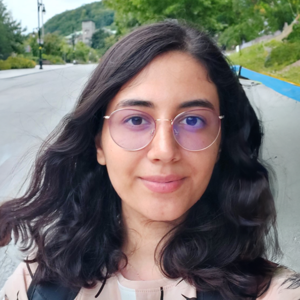 Probabilistic Vision Group