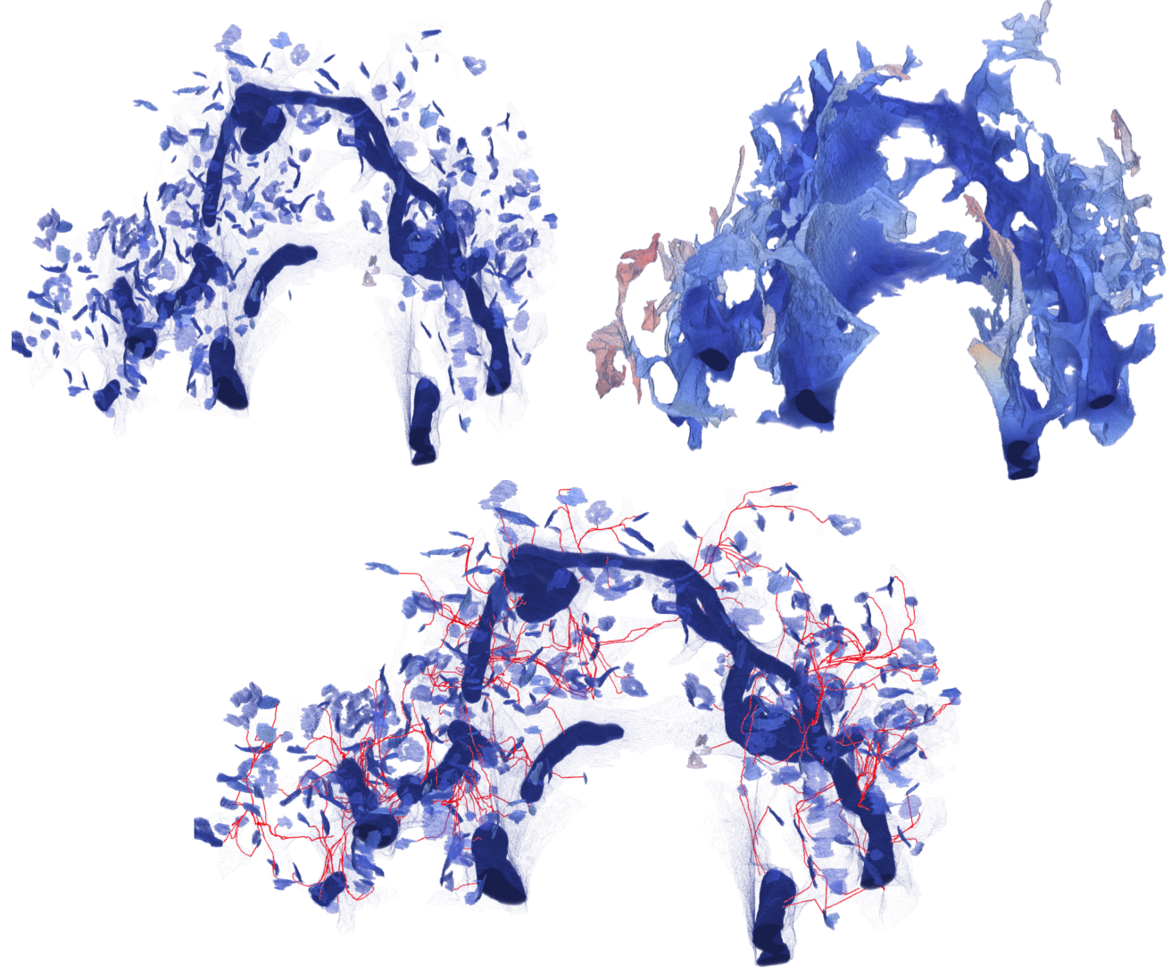Shape Analysis Group Webpage