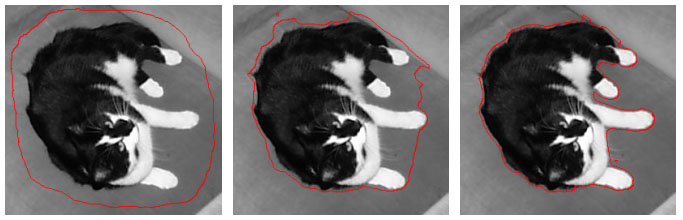 Area and Length Minimizing Flows for Shape Segmentation